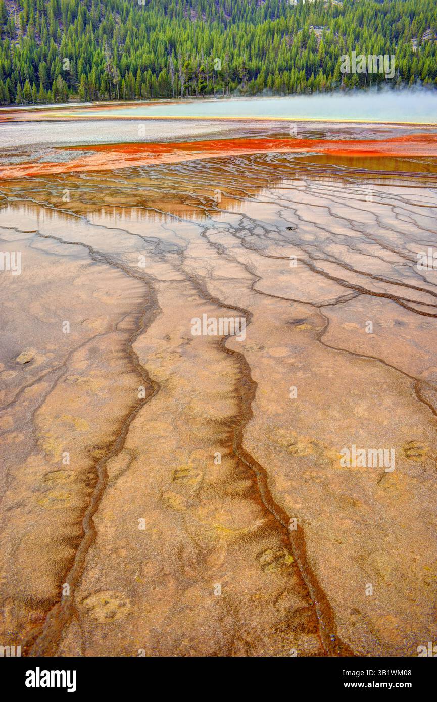 Grand Prismatic Hot Springs at Excelsior Geyser in Yellowstone National ...