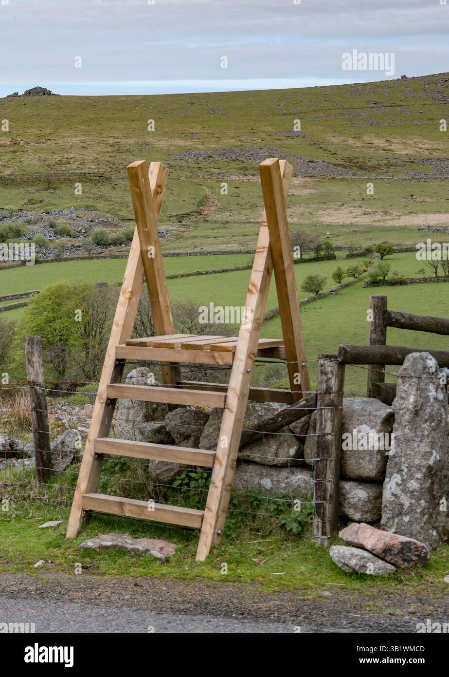 Wooden ladder over dry stone wall to farmland in Devon Stock Photo - Alamy