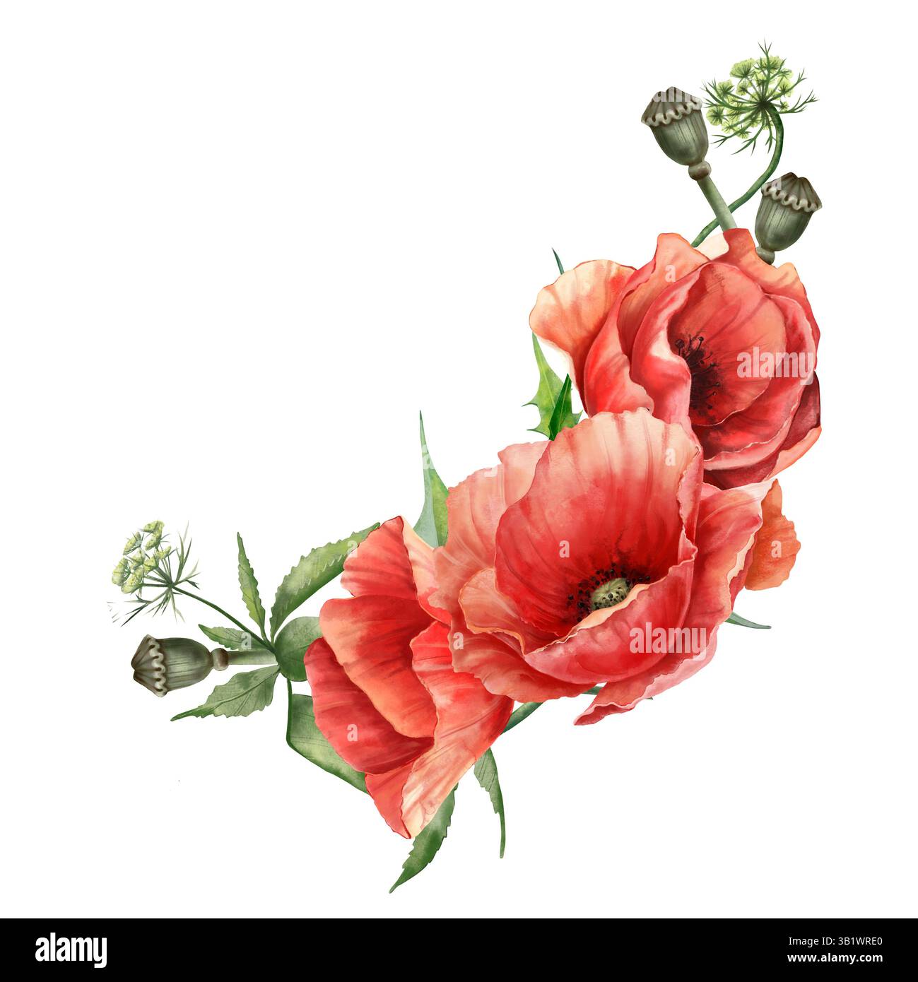 Semicircle flower arrangement. Layout of poppies, poppy boxes and ...