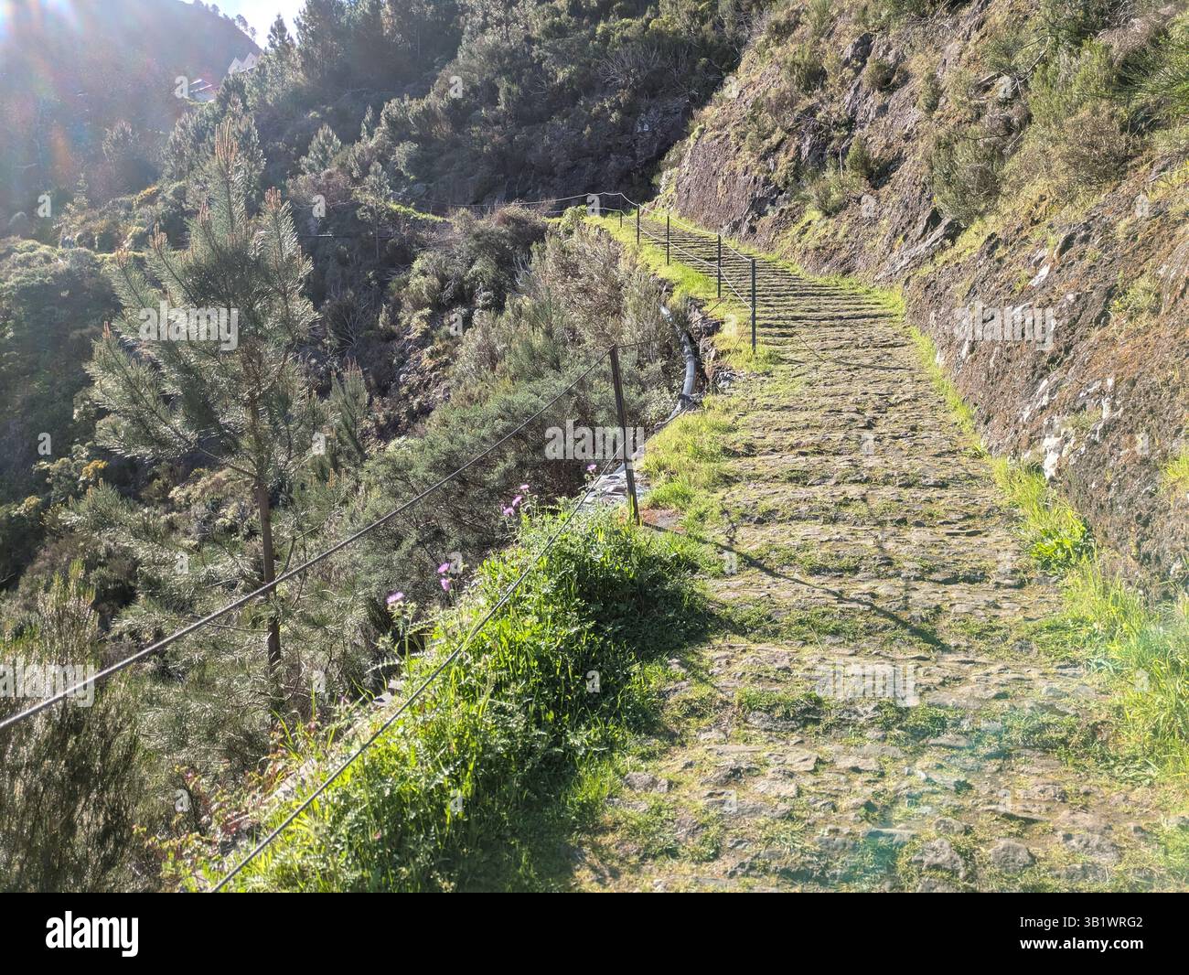 Hiking path leading down to Valley of the Nuns Stock Photo - Alamy