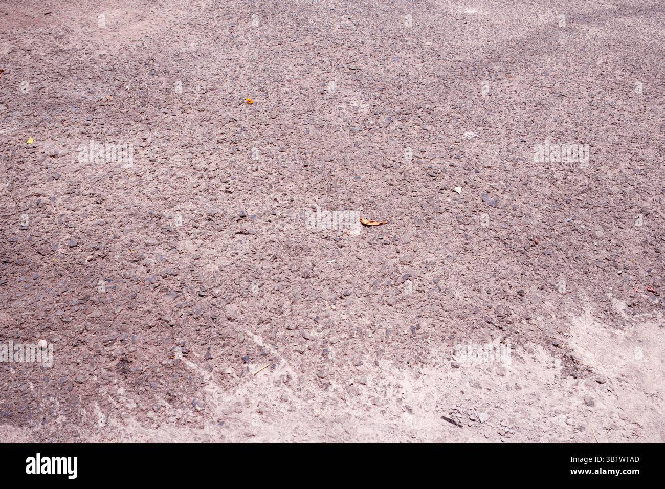 Rough-textured asphalt pavement with scattered dry leaves visible Stock ...
