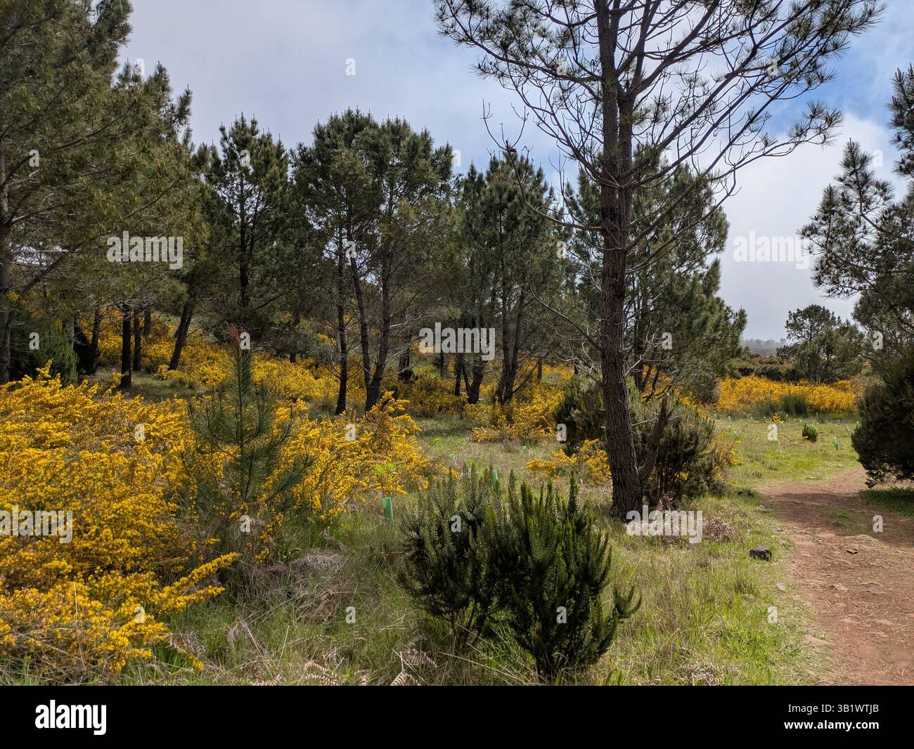 Interspersed hi-res stock photography and images - Alamy