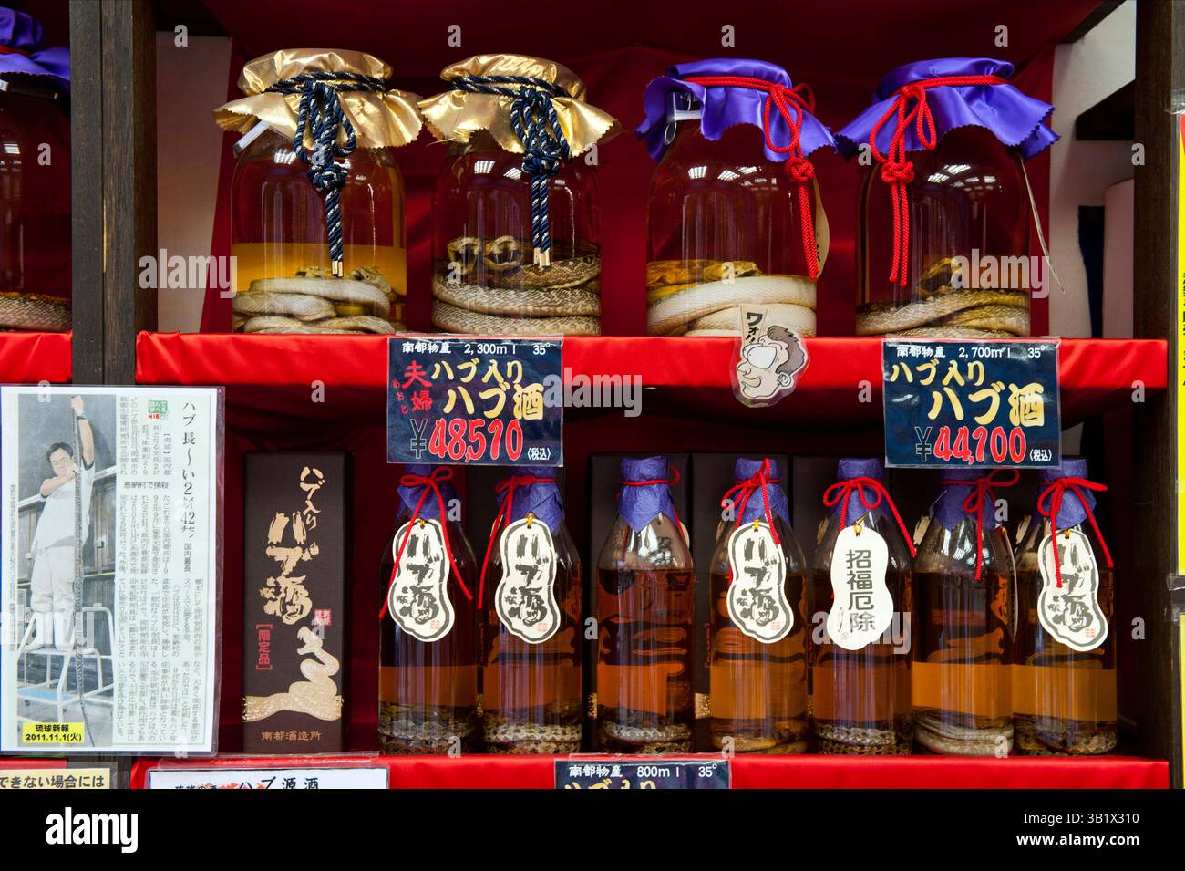 Habushu, a snake sake or snake wine, a traditional Okinawan alcoholic ...