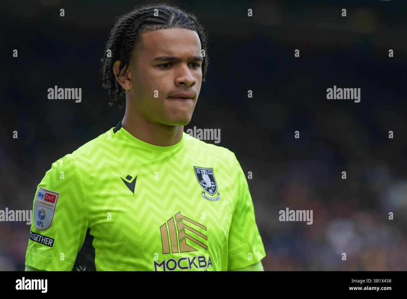 Sheffield Wednesday's Pierce Charles during the Sky Bet Championship ...