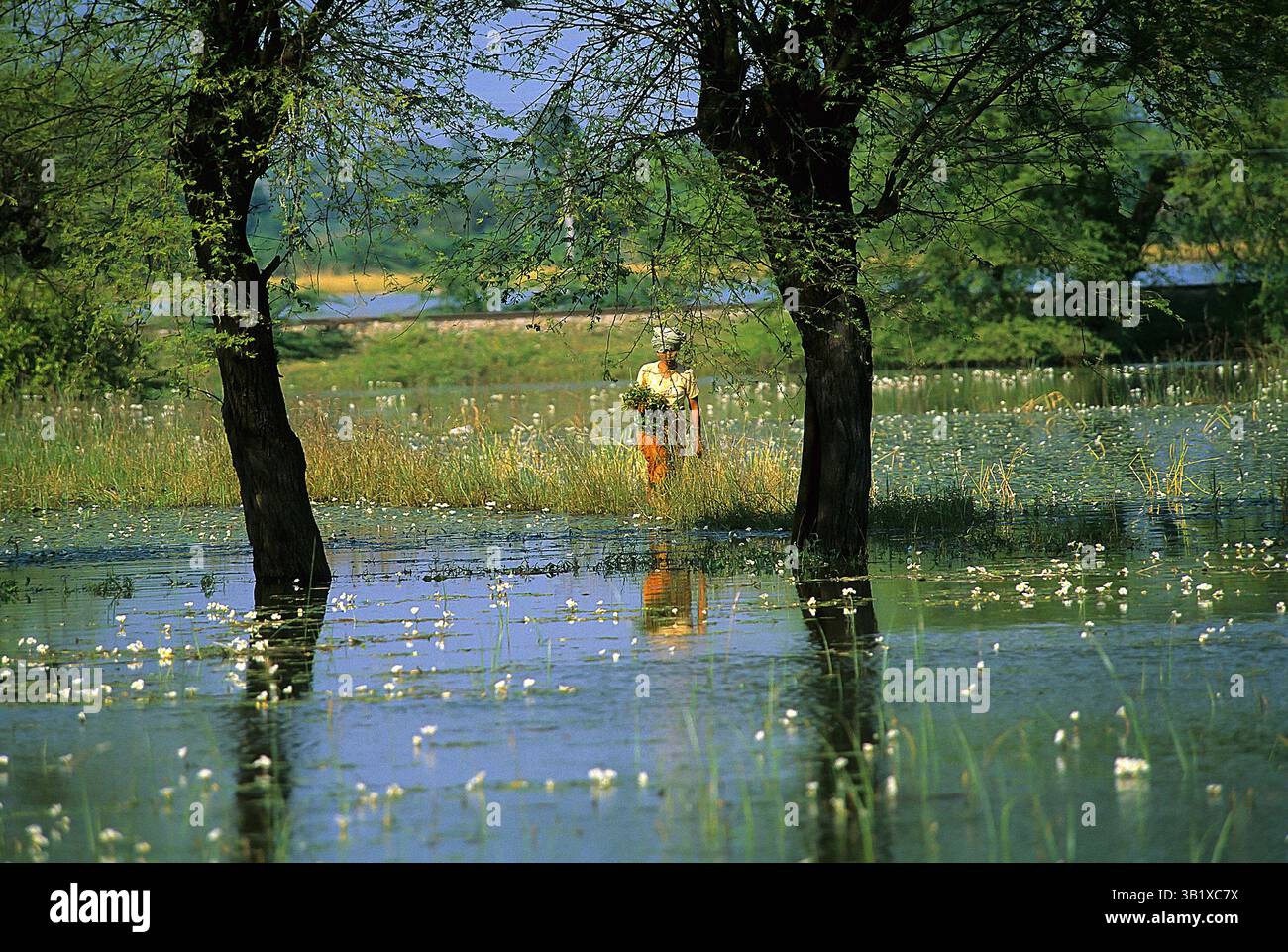 Tazi to kalaw hi-res stock photography and images - Alamy
