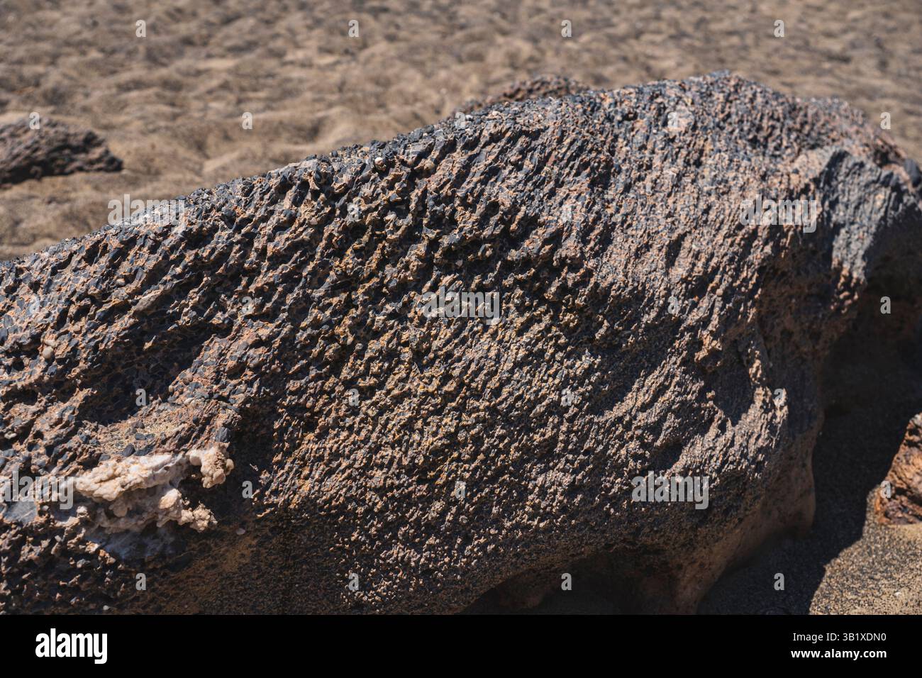 Detail of effects oh physical weathering on a rock at sandy beach near ...