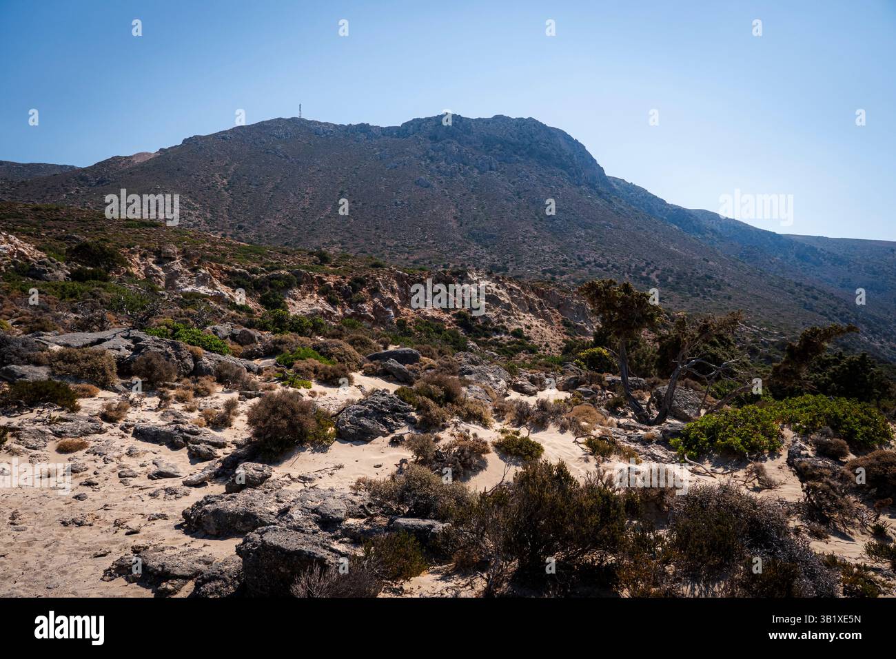 The mountainous landscape of the island of Crete with single cypress ...