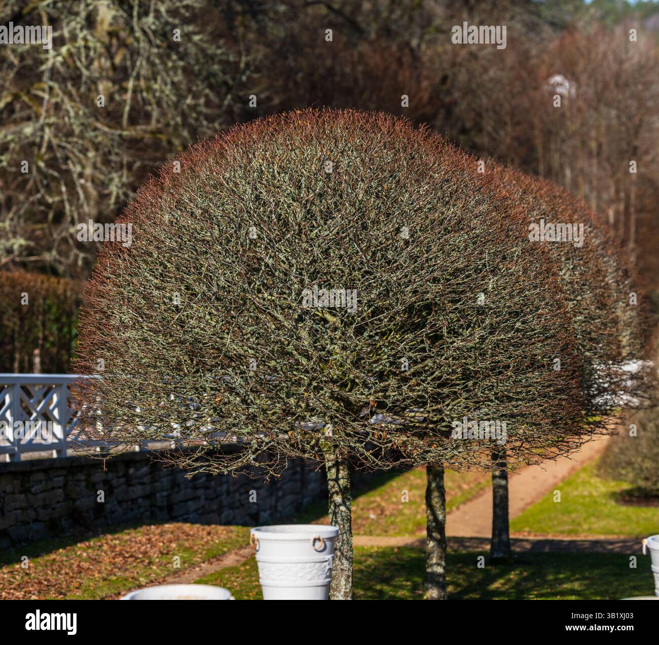 Stone path water lined hi-res stock photography and images - Alamy