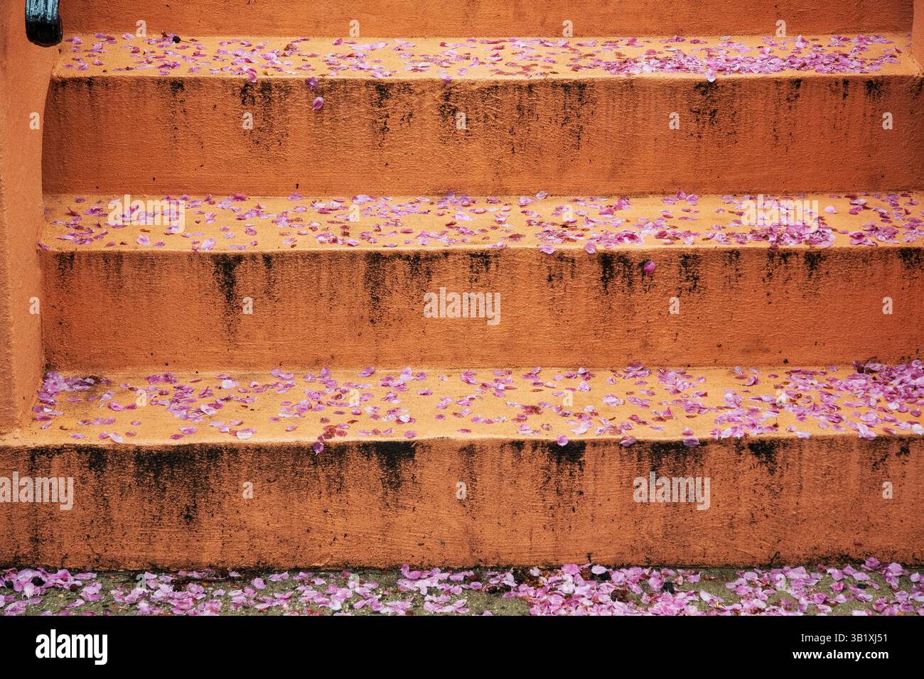 Ridgewood, Queens New York City Stock Photo - Alamy