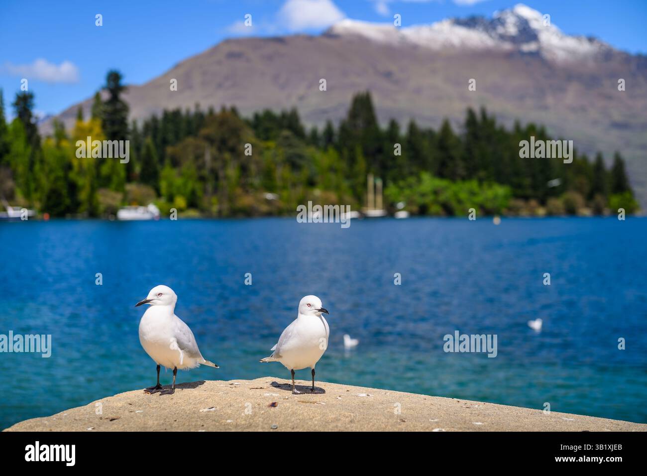 Sights and scenes from Queenstown, New Zealand Stock Photo - Alamy
