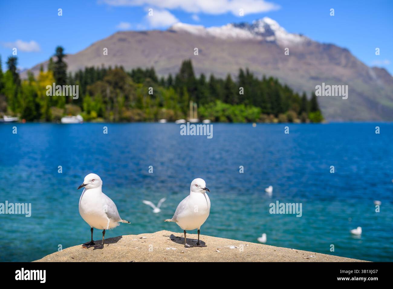 Sights and scenes from Queenstown, New Zealand Stock Photo - Alamy