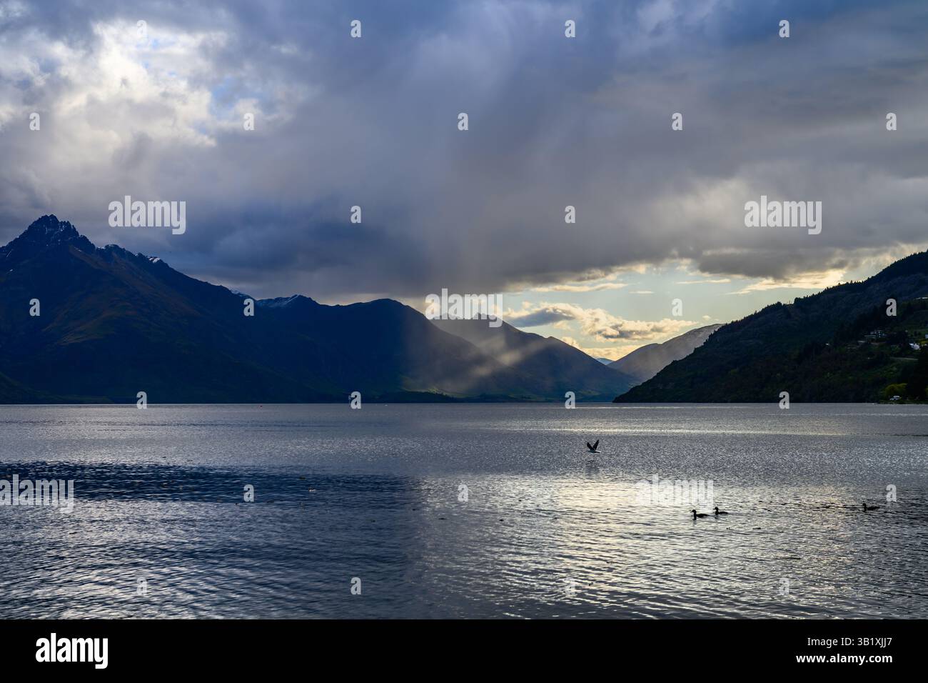 Sights and scenes from Queenstown, New Zealand Stock Photo - Alamy