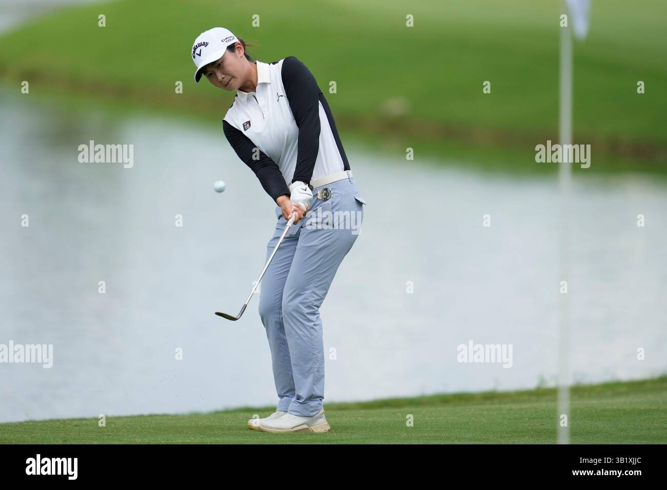 Yan Liu, of China, chips up to the nineth green during the third round of the Chevron ...