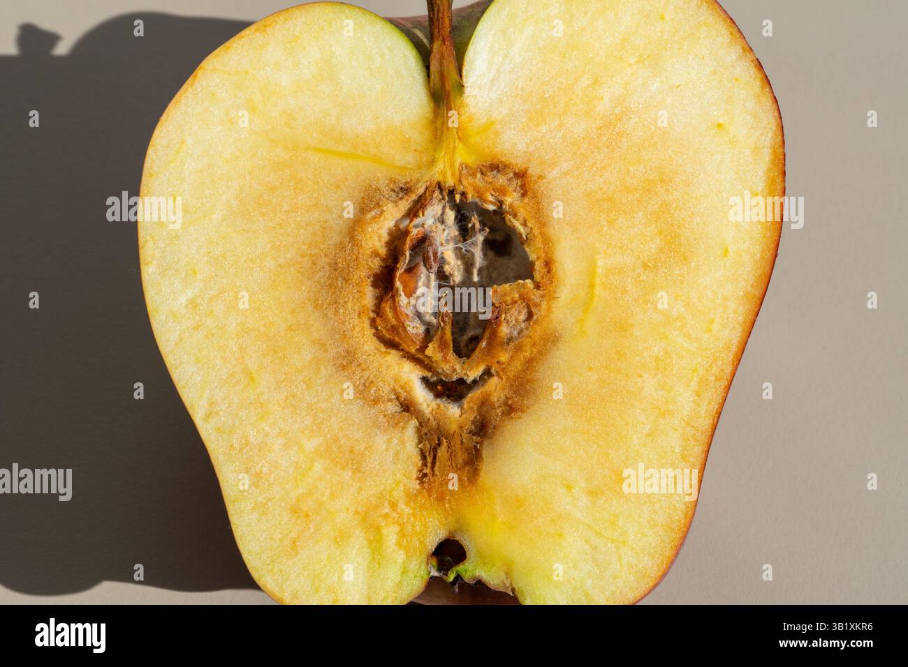 Internal decomposition hi-res stock photography and images - Alamy