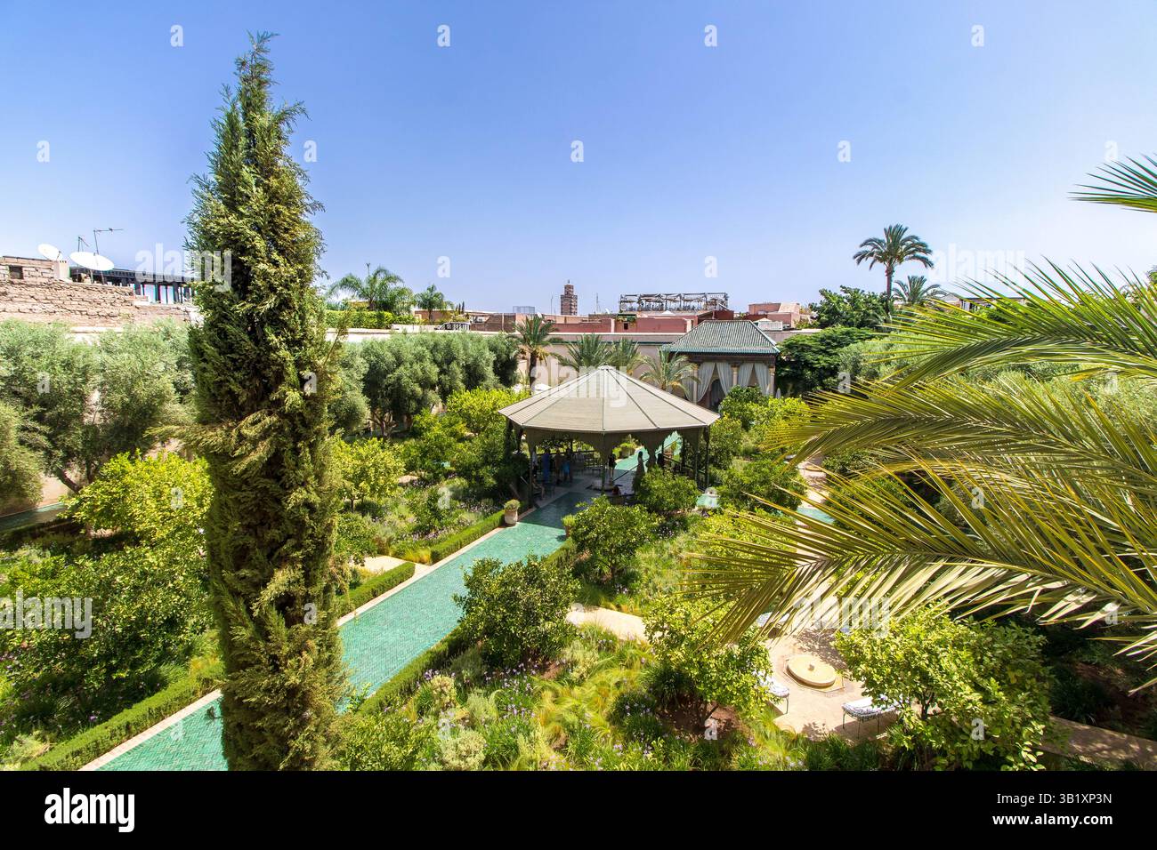 At Marrakech, Morocco, on 08,09,24, The secret garden (Le jardin secret ...