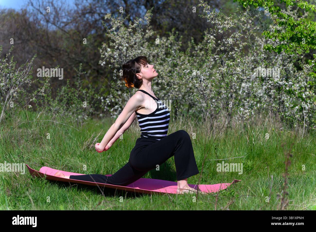 Woman performing low lunge pose on pink mat in green field, arms ...