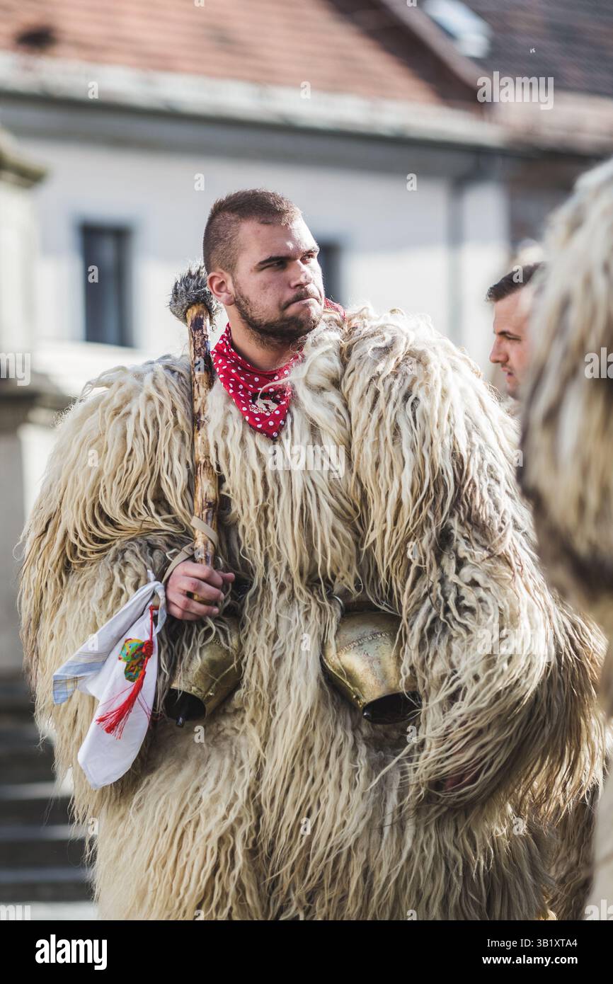 A kurent without his mask on carnival in Slovenia. It's a traditional ...