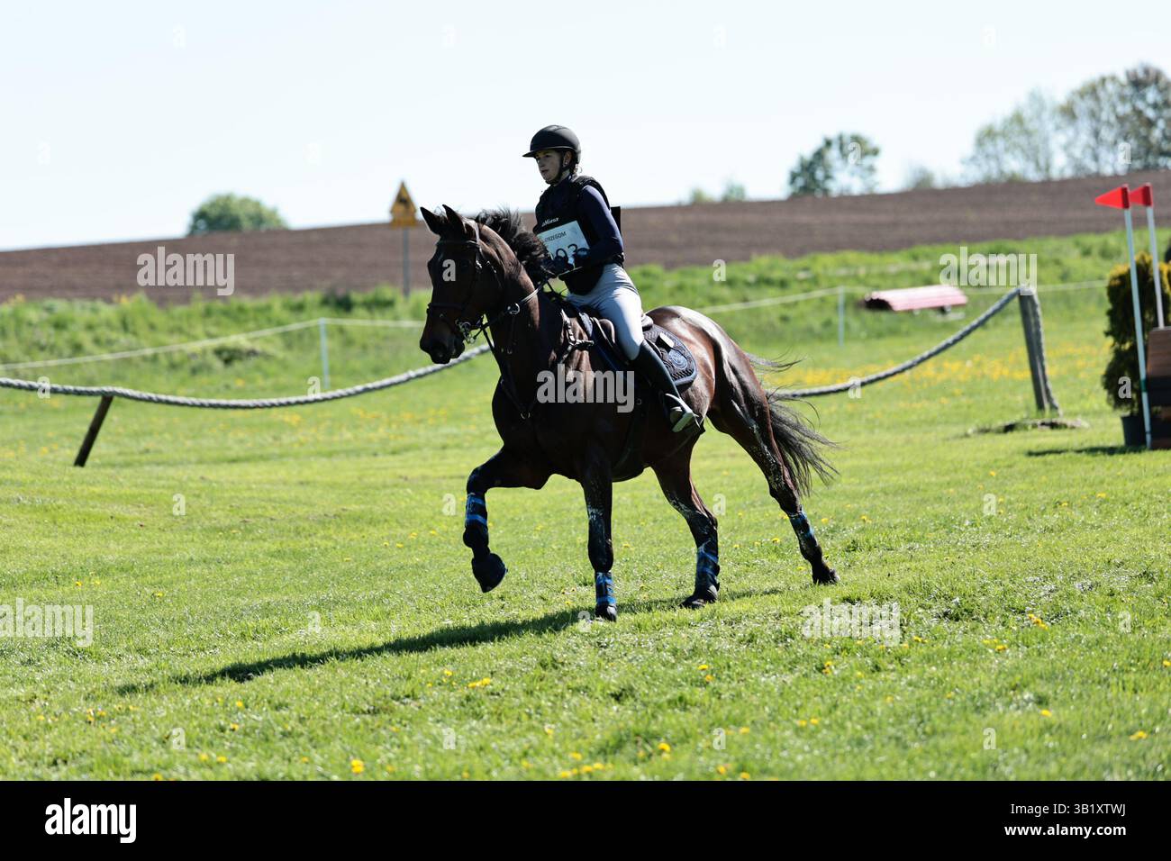 Verane Nicaud of France with Frenchstar Helau during the CCI2*-L cross ...