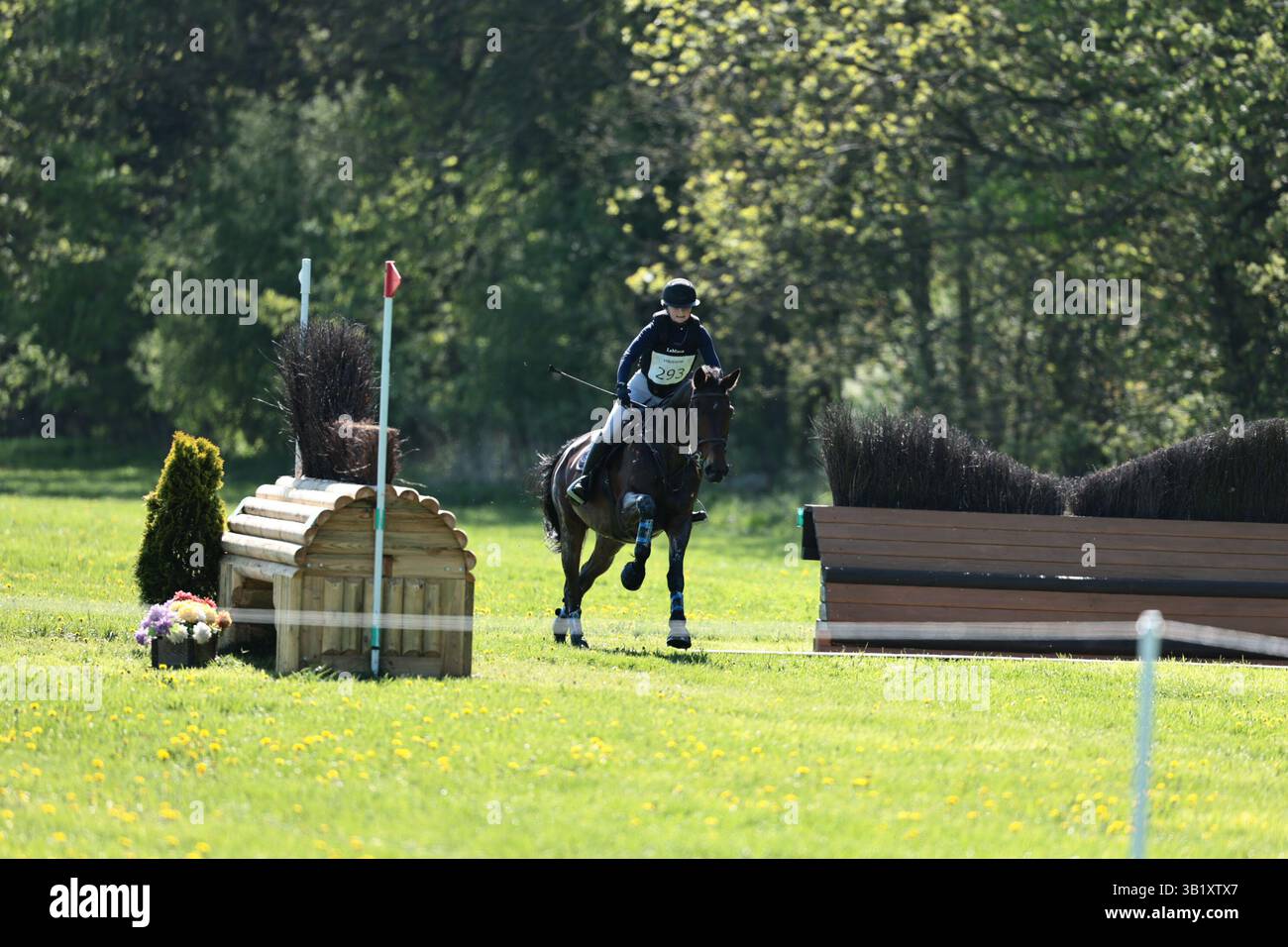 Verane Nicaud of France with Frenchstar Helau during the CCI2*-L cross ...