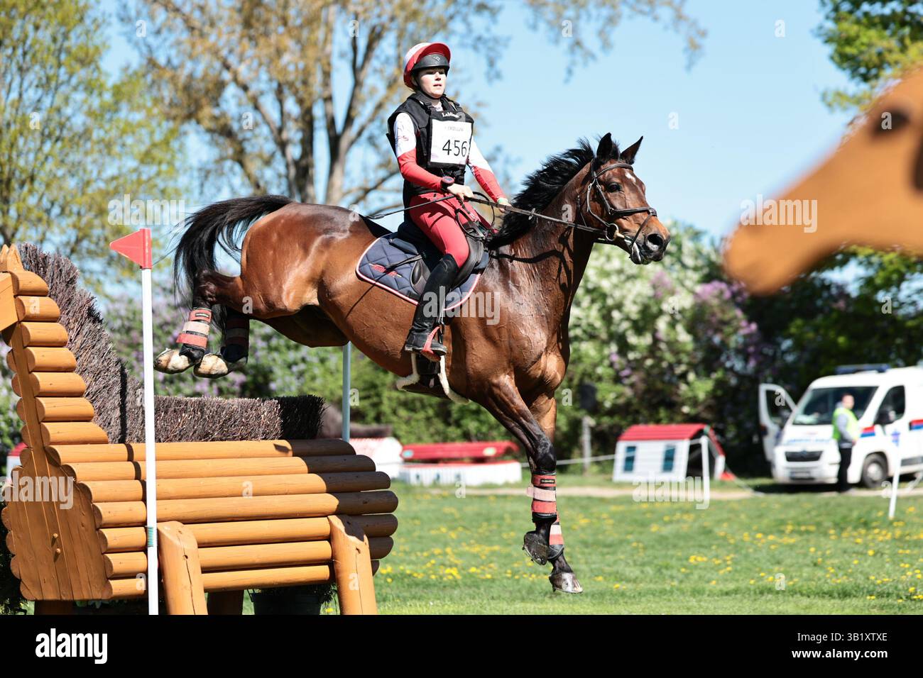 Helena Würmer of Austria with Highlight 9 during the CCI3*-L cross ...