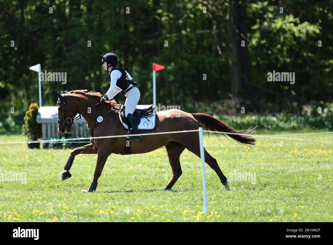 Kumru Say of Turkey with Baladin de l'Ocean LA during the CCI4*-L cross ...