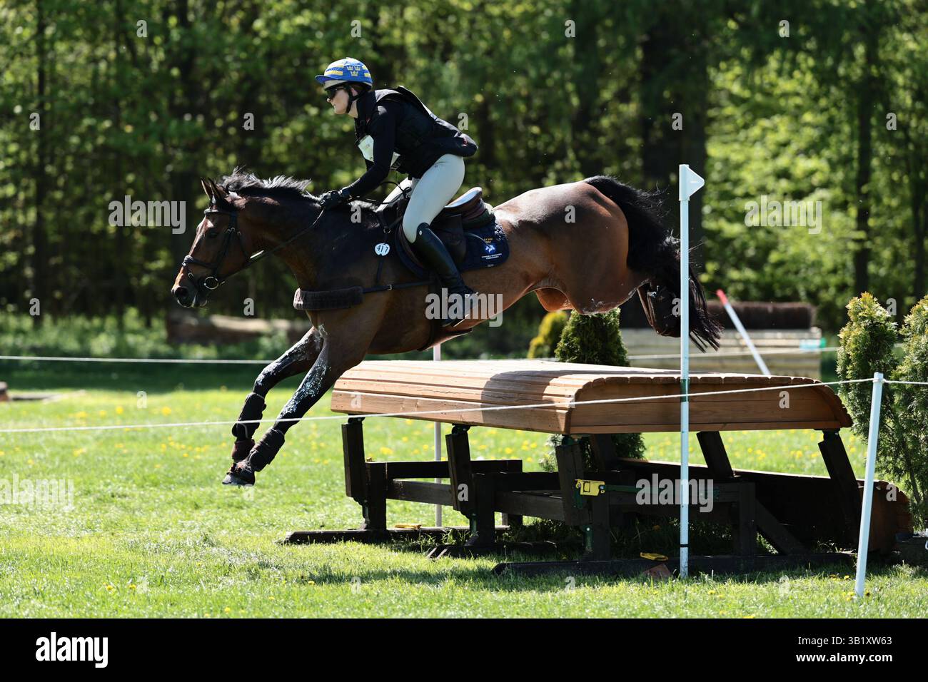 Amanda Andersson of Sweden with Double Carat during the CCI4*-S cross ...