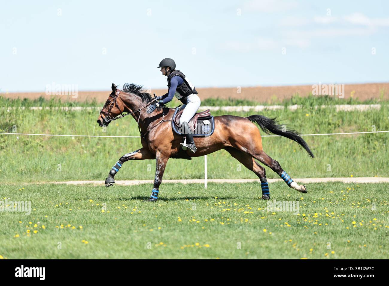 Verane Nicaud of France with Baron d'Etat during the CCI4*-S cross ...