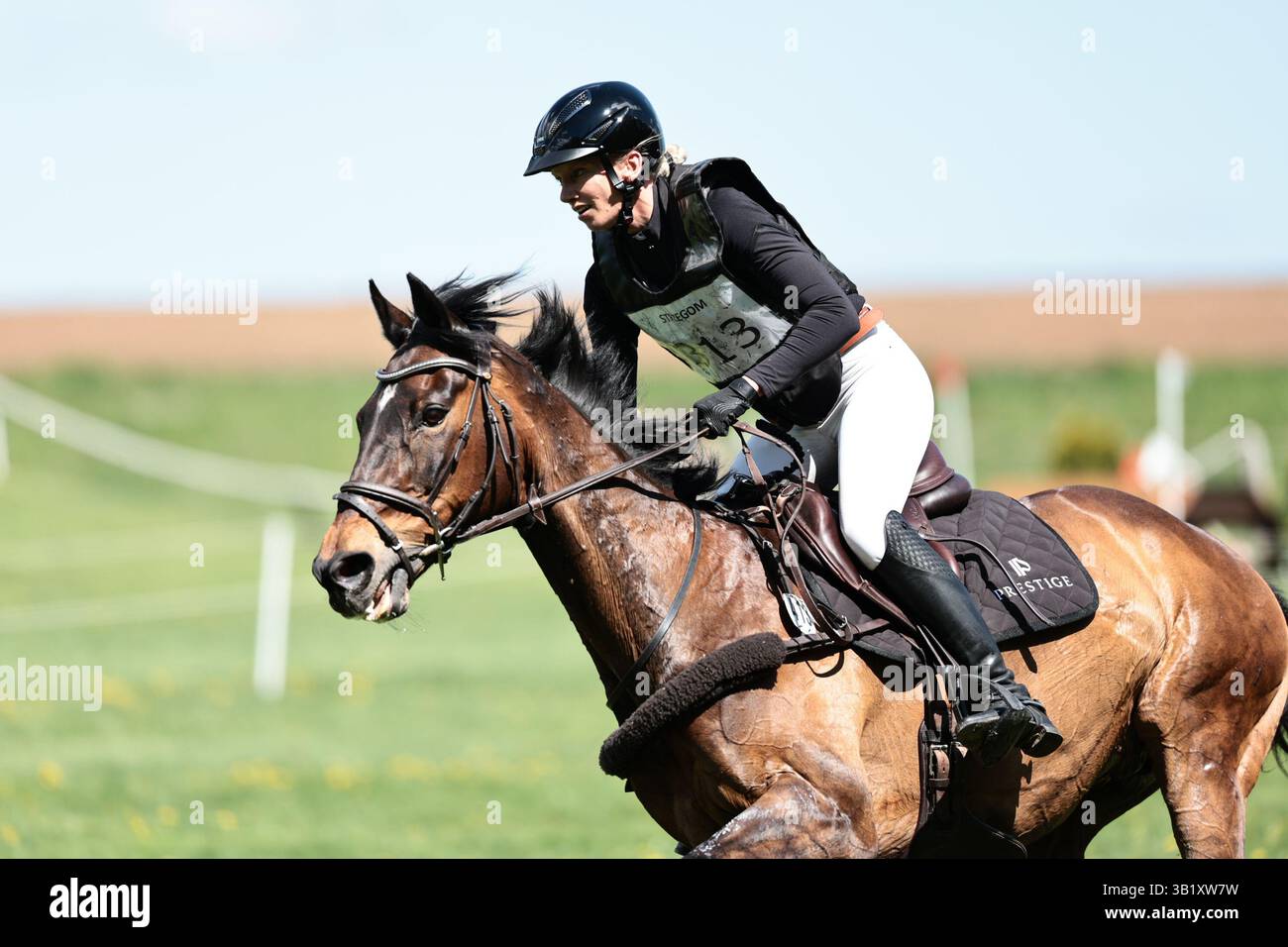 Anna Siemer of Germany with FRH Butt's Avondale during the CCI4*-S ...