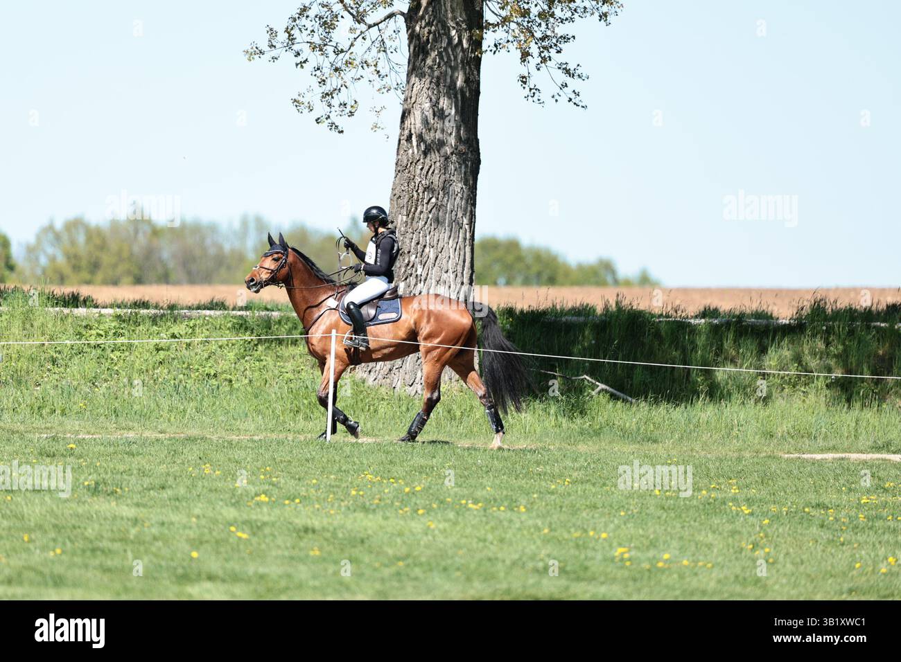 Grace Kay of Australia with Harthill Samba during the CCI3*-S cross ...