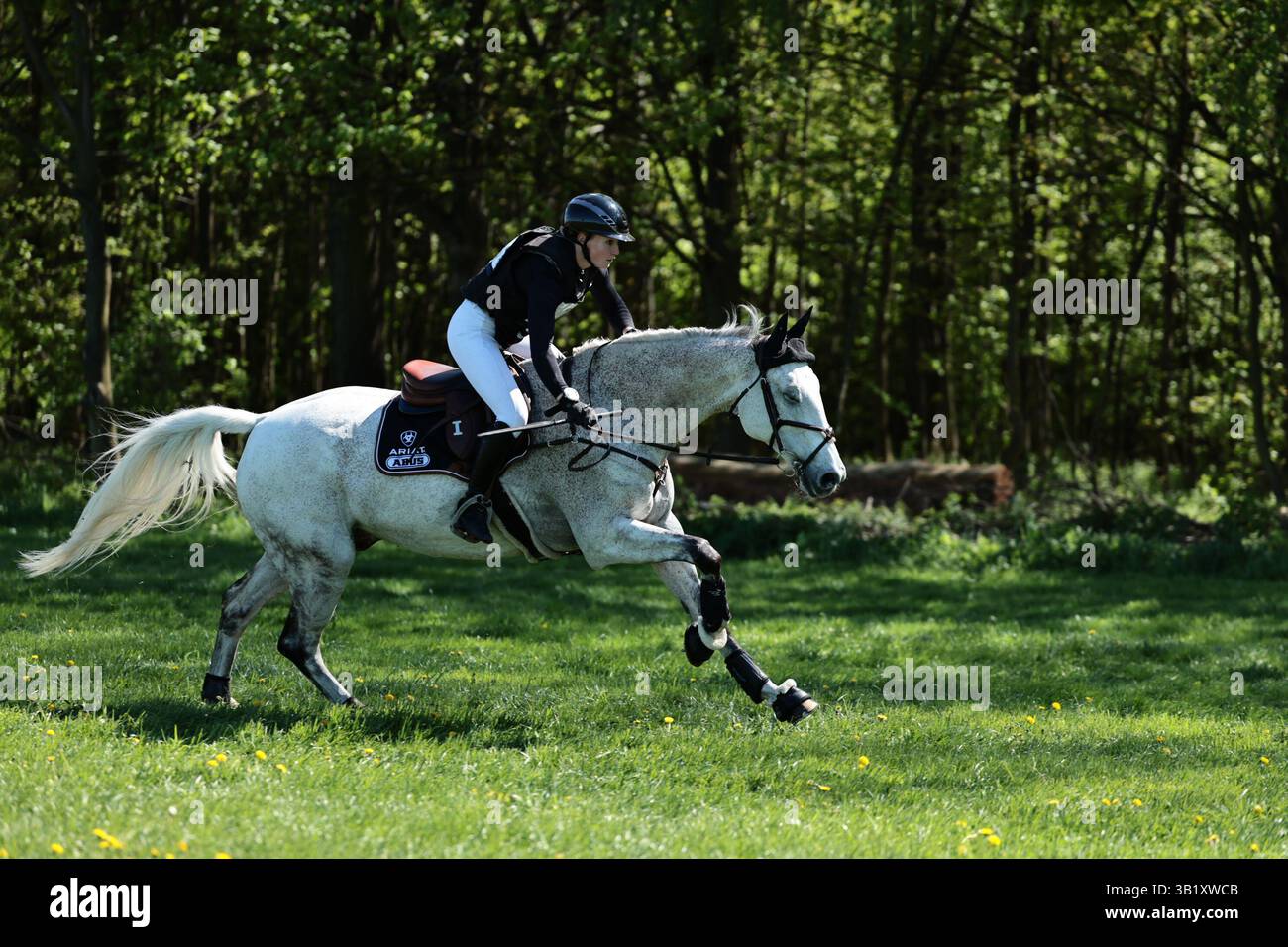 Antonia Baumgart of Germany with Lamango during the CCI3*-S cross ...