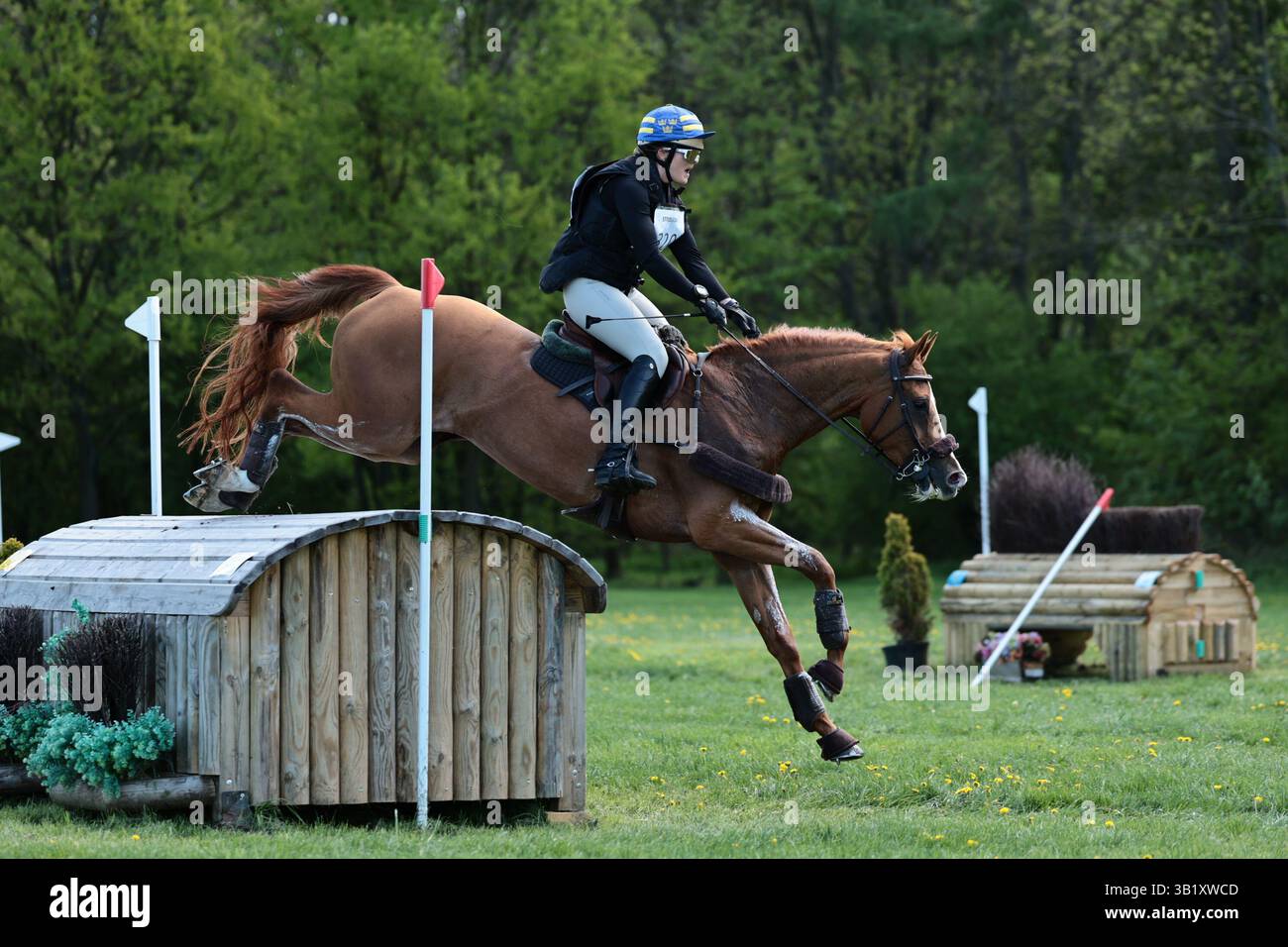 Amanda Andersson of Sweden with Jersey during the CCI4*-S cross country ...