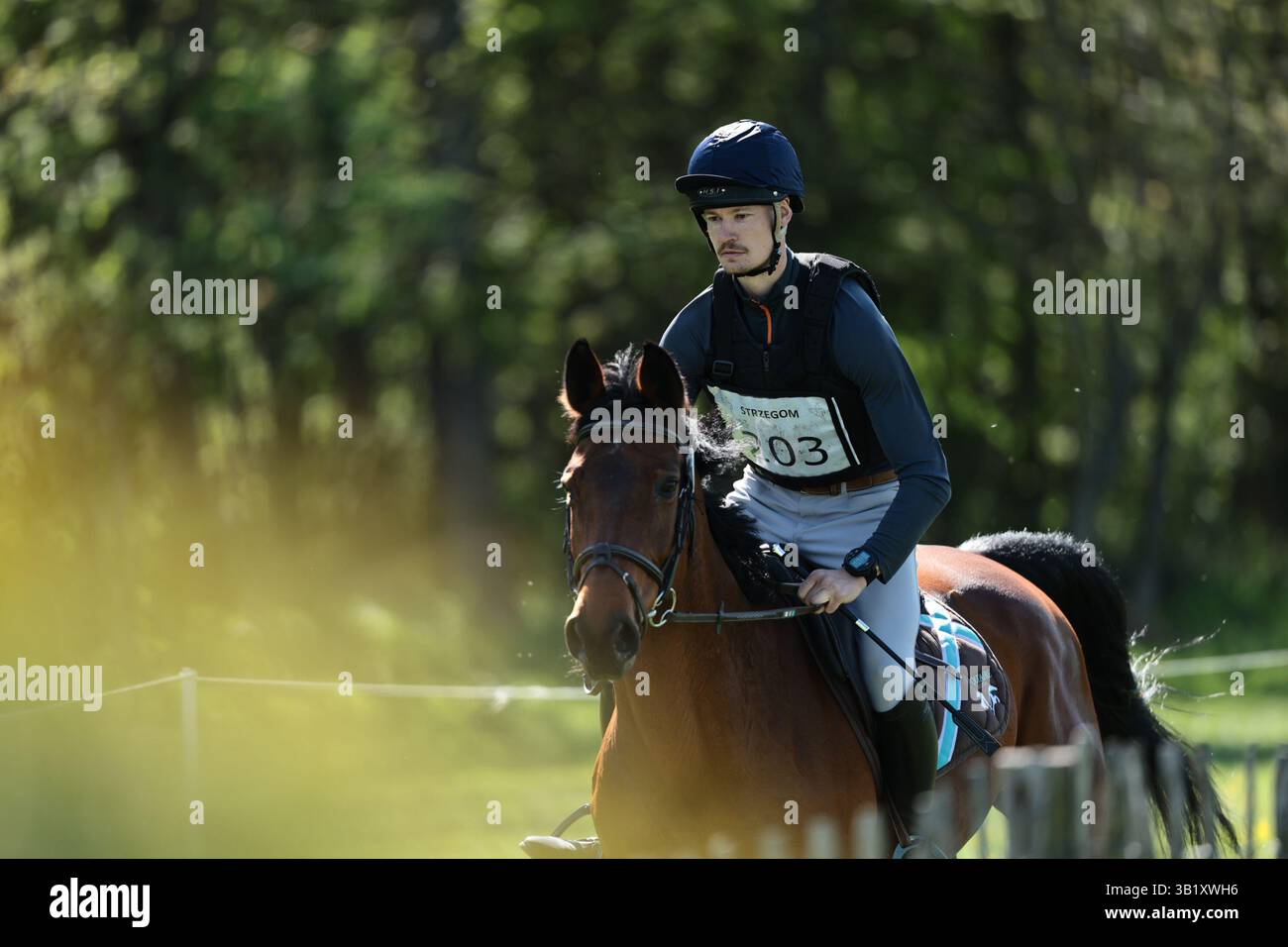 Michael Spörk of Austria with Digi Maus during the CCI2*-S cross country at the Strzegom Spring ...