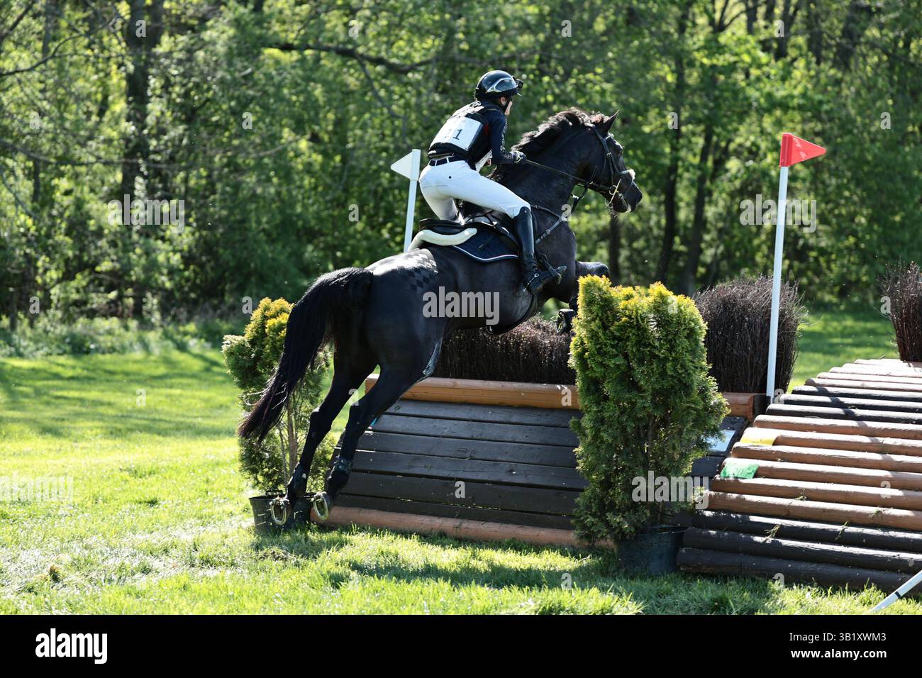 Donata-Viktoria Bechstein of Germany with Goofalixx during the CCI2*-S ...