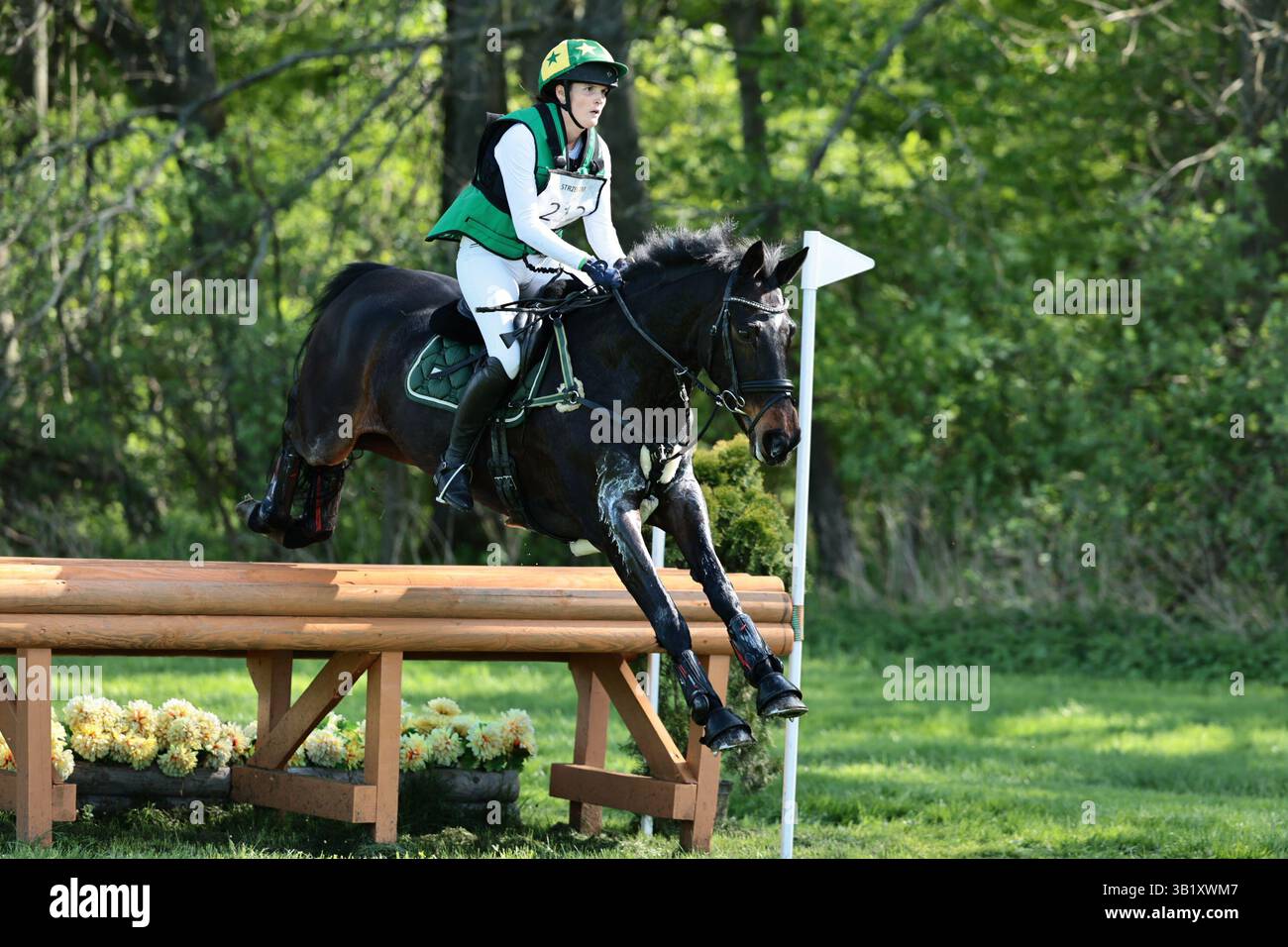 Petra Radner of Austria with Variety during the CCI2*-S cross country ...