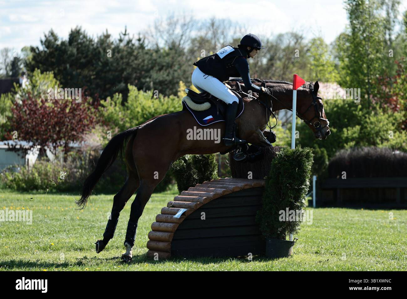 Ema Stepankova of Czech Republic with Anisio during the CCI2*-S cross ...