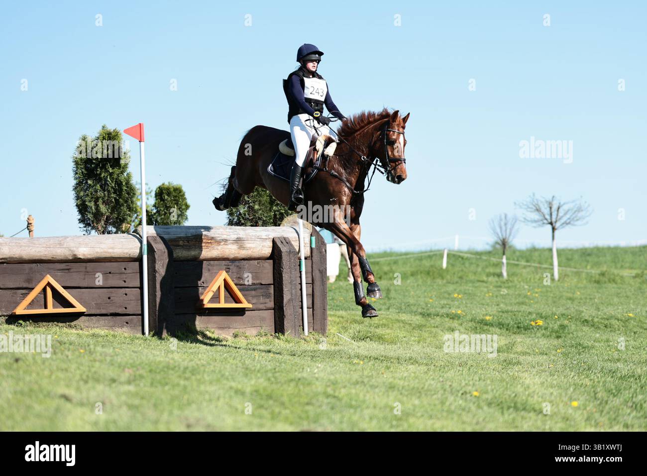 Alva Danielsson of Sweden with High Dreams during the CCI2*-S cross ...
