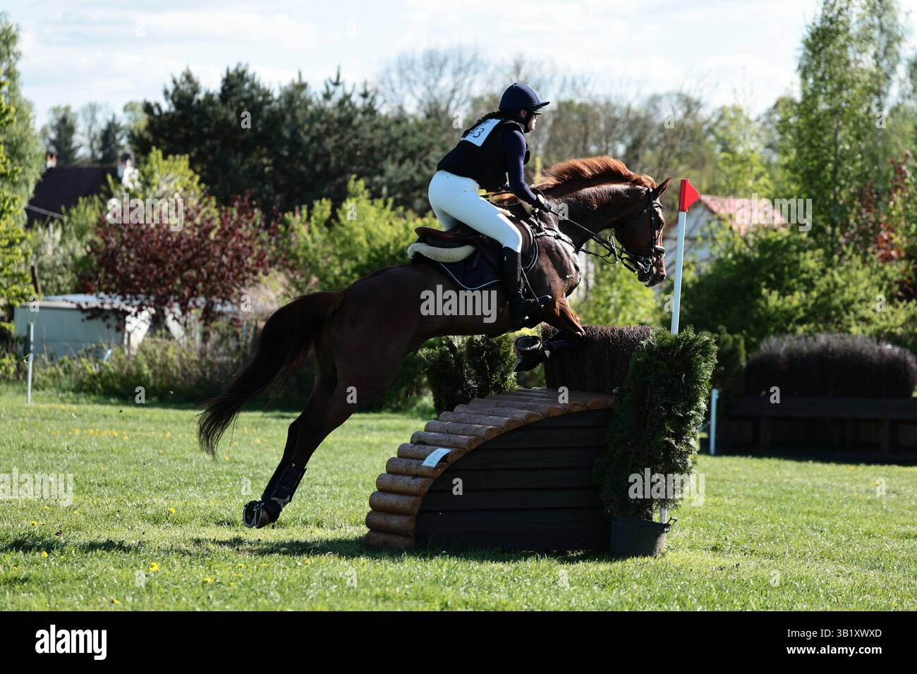 Alva Danielsson of Sweden with High Dreams during the CCI2*-S cross ...