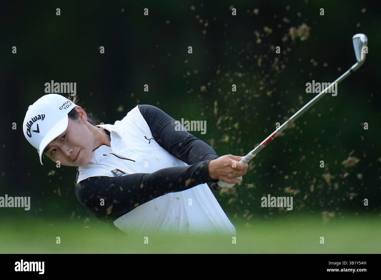 Yan Liu, of China, chips up to the 16th hole during the third round of ...