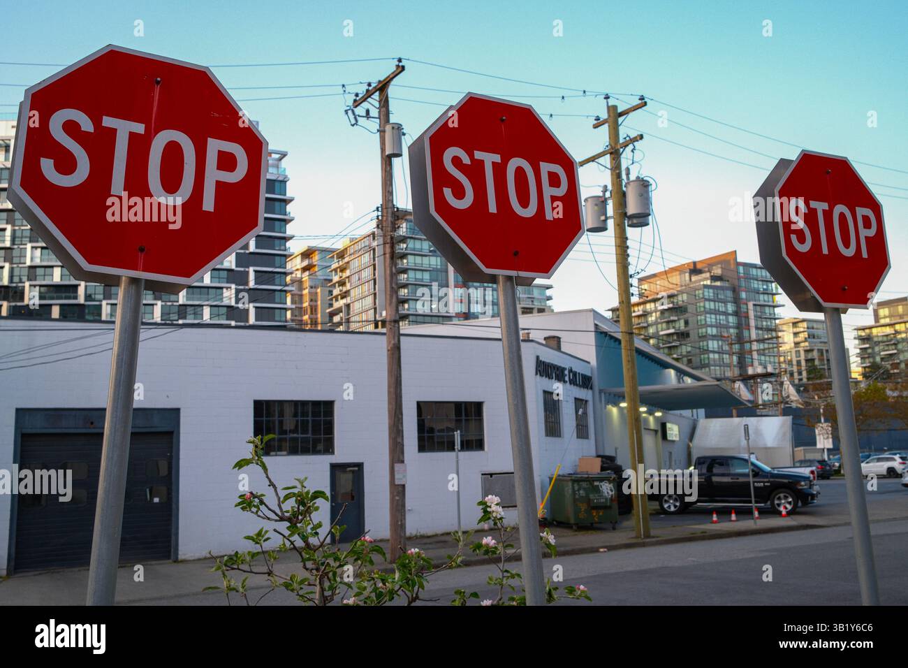 A row of stop signs in Vancouver, BC Stock Photo - Alamy