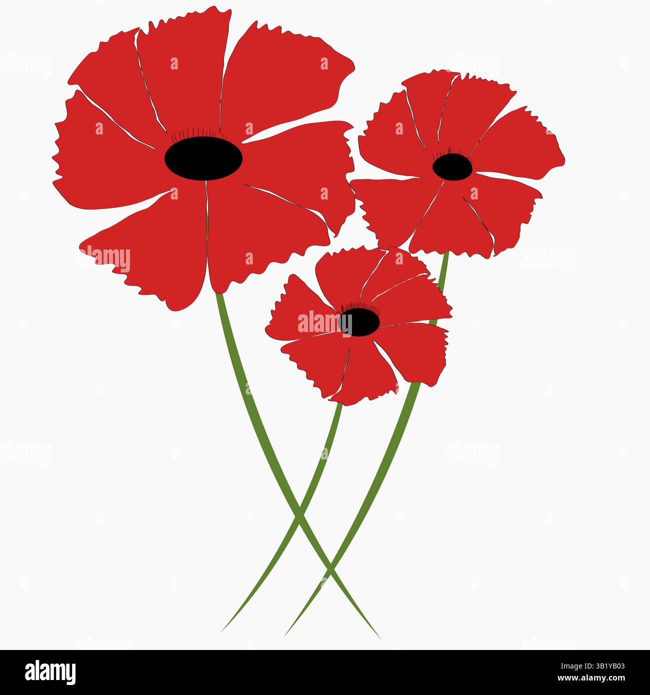 Red poppy illustration. Floral vector bouquet. Blooming petal symbol ...