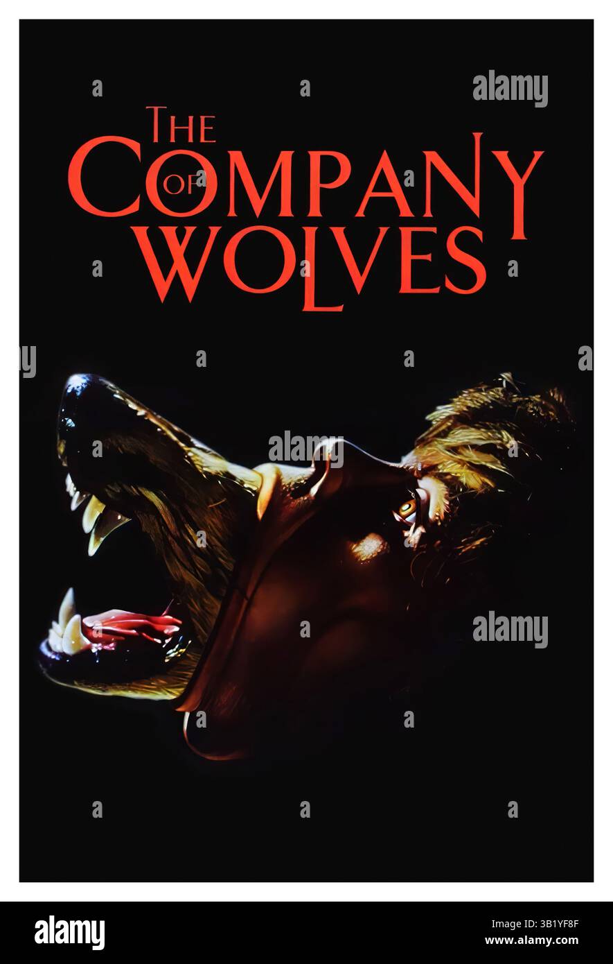 THE COMPANY OF WOLVES (1984), directed by NEIL JORDAN. Credit: PALACE ...