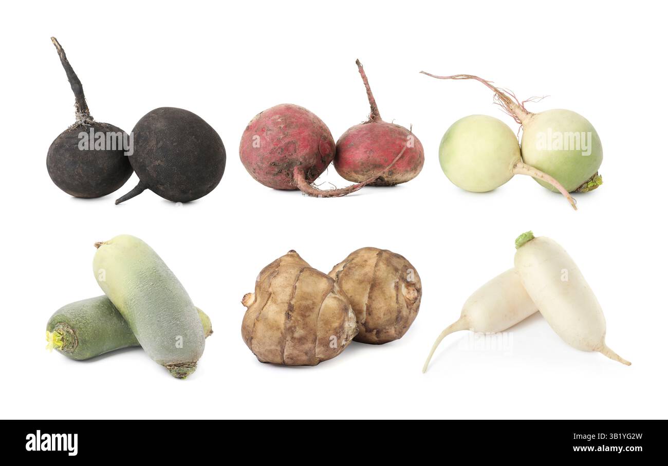 Different root vegetables isolated on white, set Stock Photo - Alamy