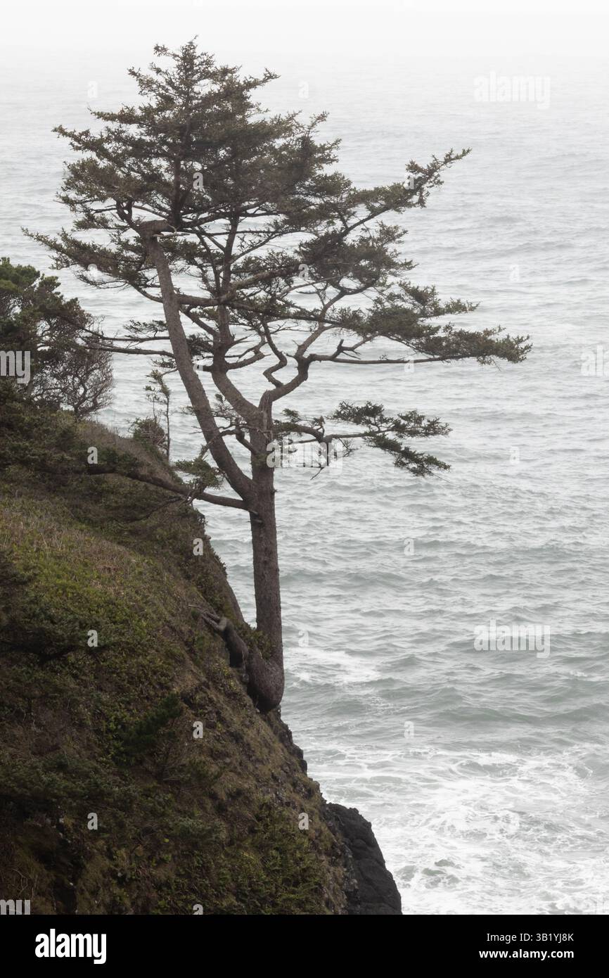Lighthouse overlooking pacific ocean hi-res stock photography and ...