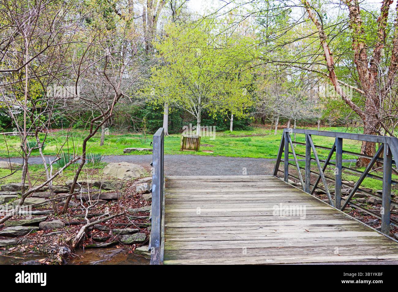 Serene park bridge surrounded trees hi-res stock photography and images ...