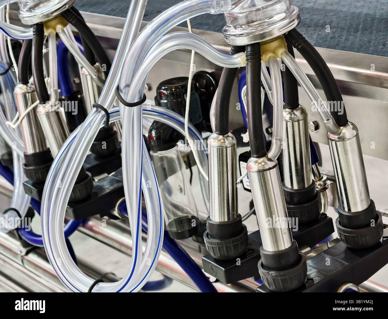 Innovative milking machine technology transforms dairy farming ...