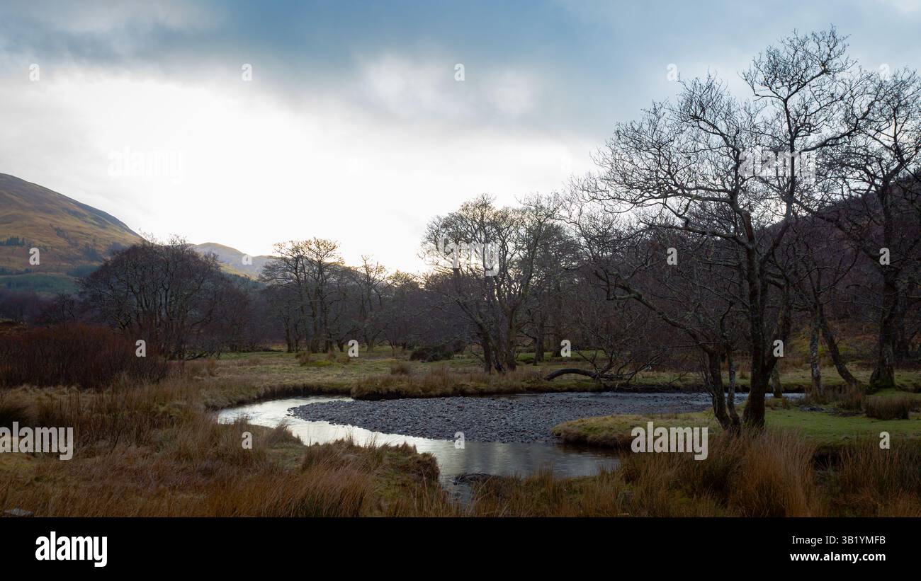 A peaceful Scottish stream winds its way through a wooded landscape ...