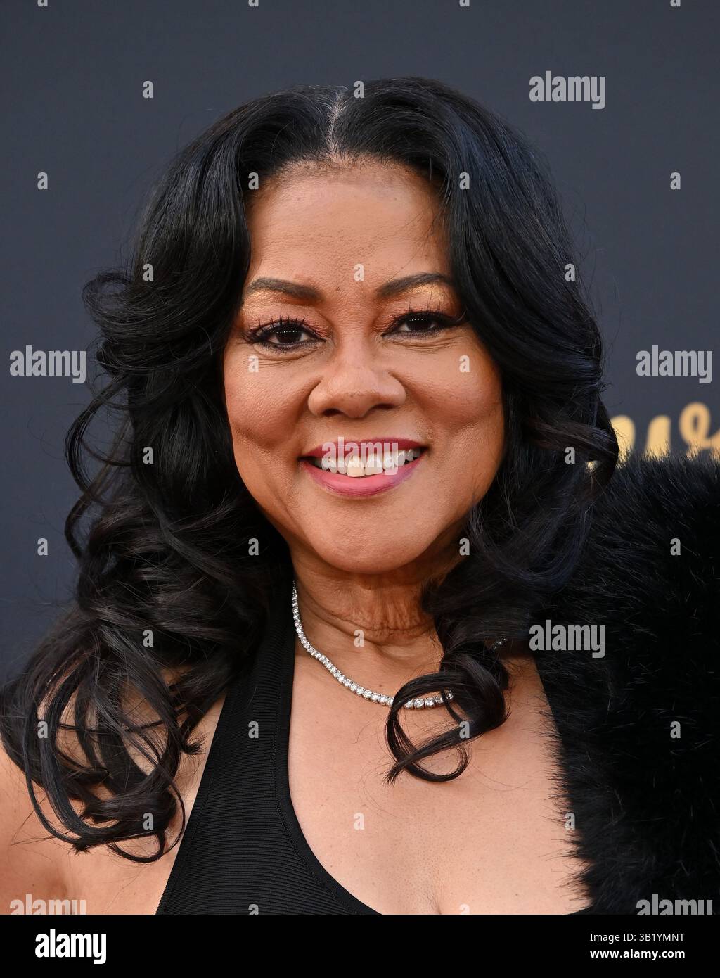Hollywood, USA. 26th Apr, 2025. Lela Rochon arriving at the 50th AFI ...