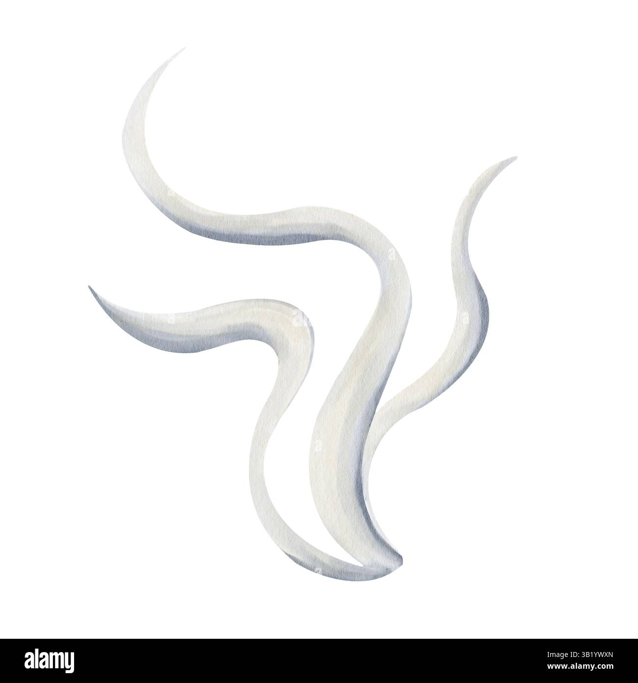Sea and river algae. Long flat leaves are stretched upwards and curved ...