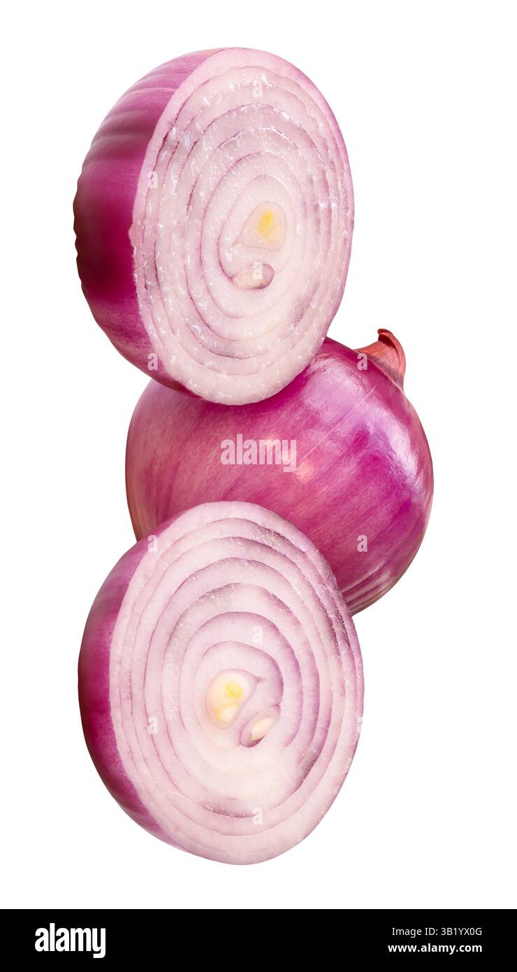 Single fresh peeled red or purple Spanish onion bulb with two onion ...