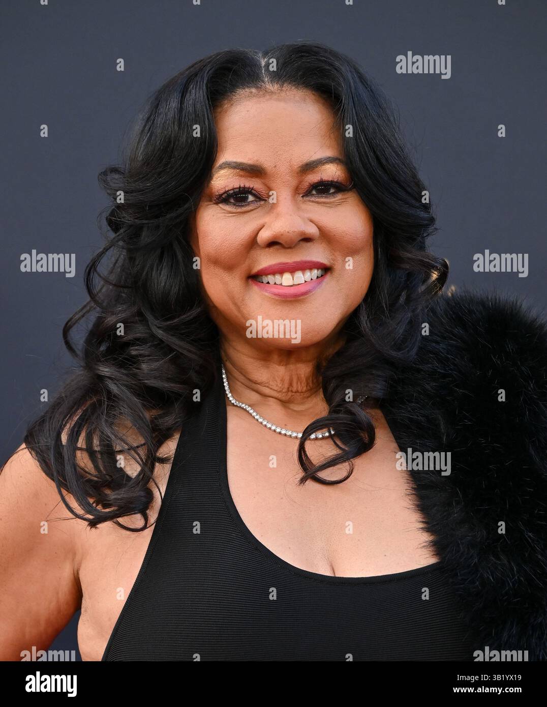 Hollywood, USA. 26th Apr, 2025. Lela Rochon arriving at the 50th AFI ...